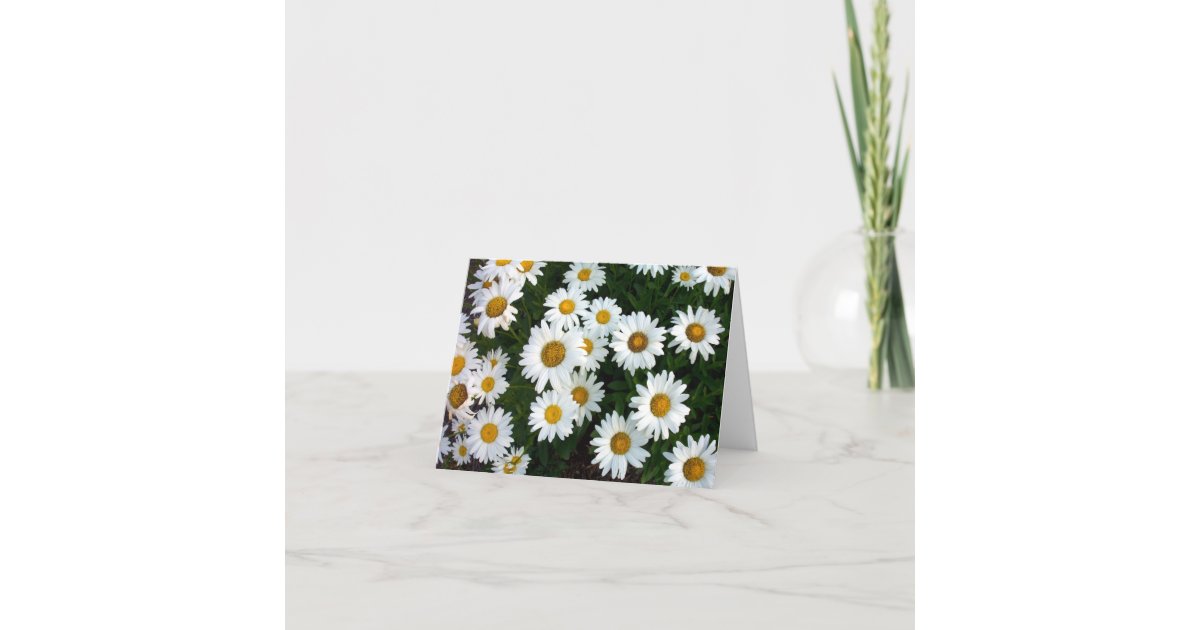 Daisy Note Card | Zazzle