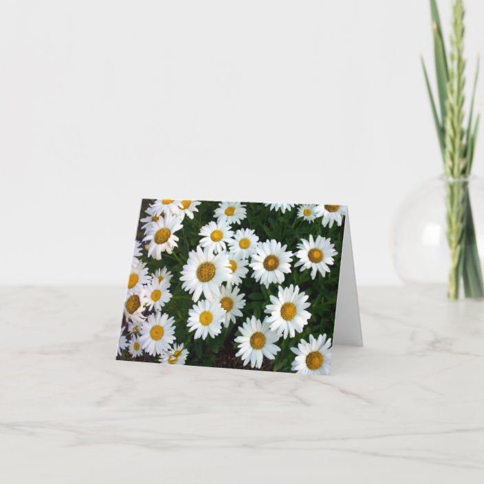 Daisy Note Card | Zazzle.com