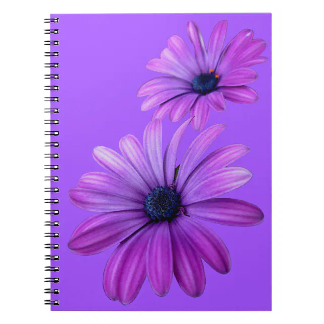 Daisy Notebook Purple Daisy Journals Gifts | Zazzle
