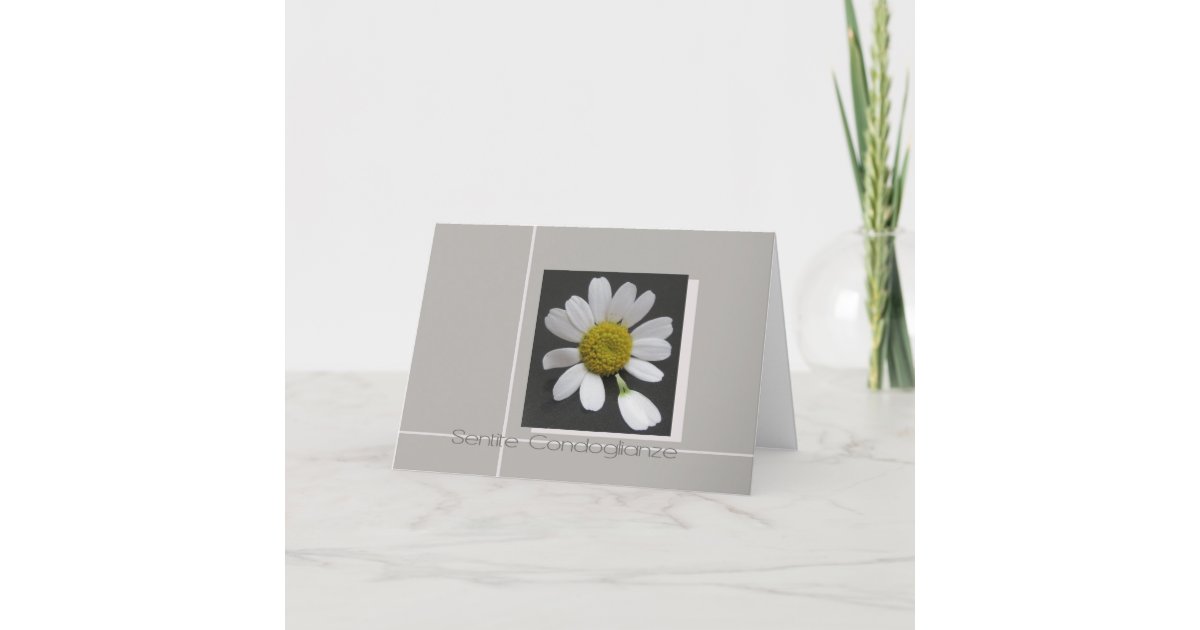 daisy on grey italian sympathy card | Zazzle