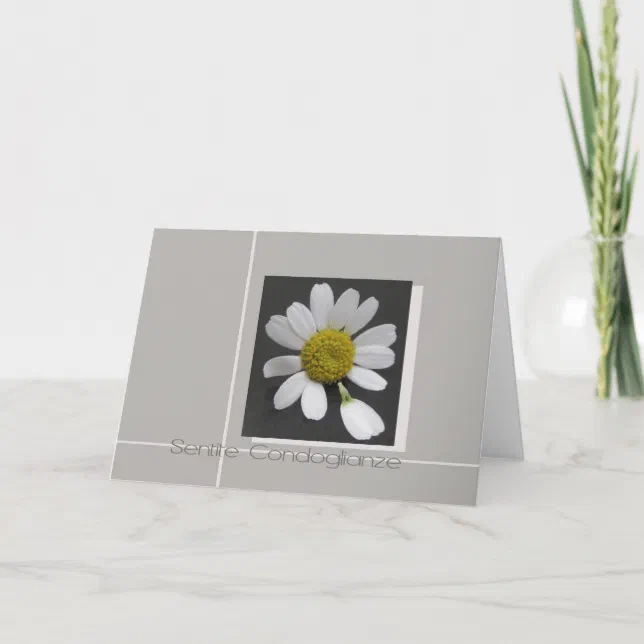 daisy on grey italian sympathy card | Zazzle
