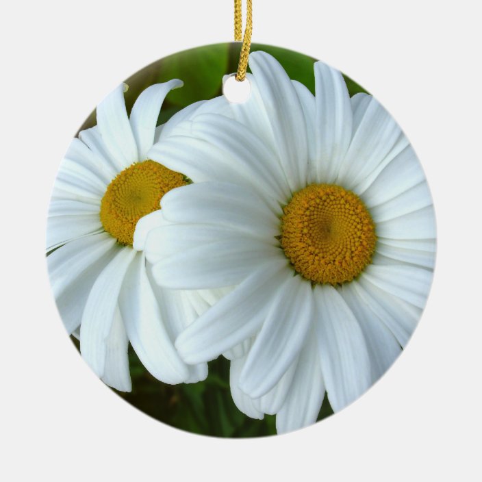 Daisy Ornament Flowers Christmas Decoration | Zazzle.com