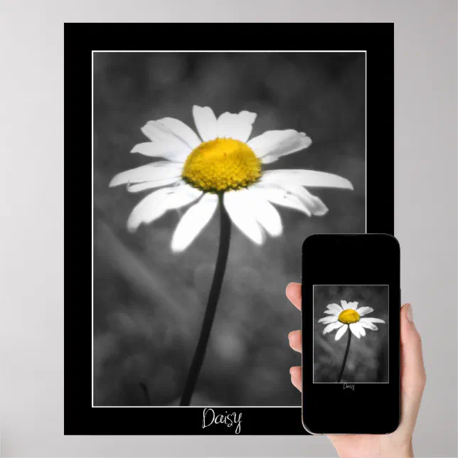 Daisy Poster | Zazzle