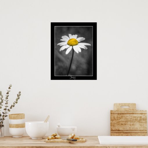 Daisy Poster | Zazzle