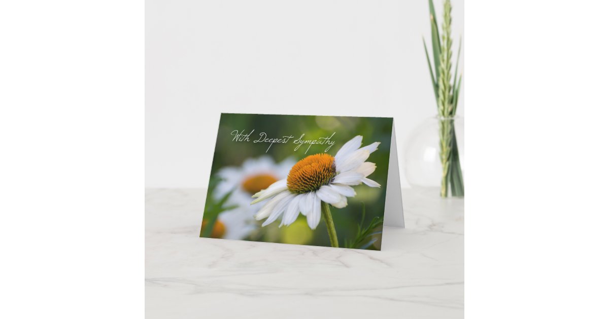Daisy Sympathy Card | Zazzle
