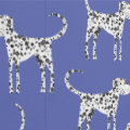 Dalmatian Dog Pattern Blue Wallpaper | Zazzle