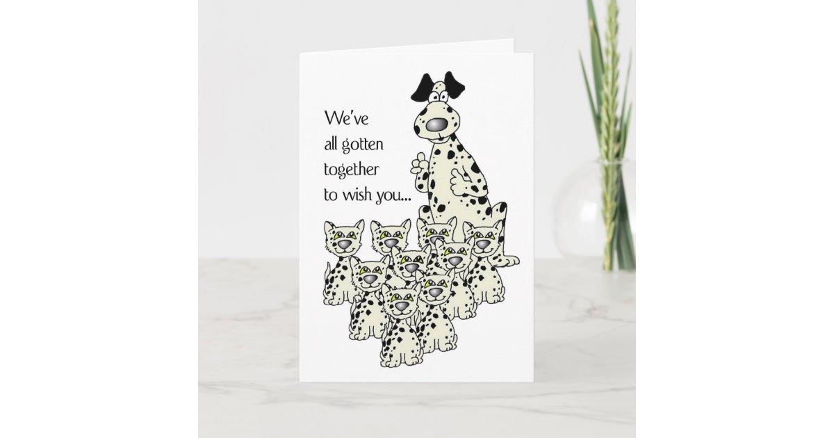 Dalmation Dog, and Cats Funny Birthday Card | Zazzle