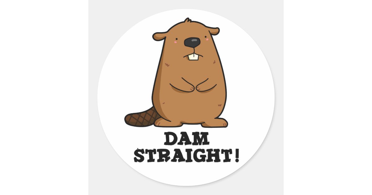 Dam Straight Sassy Beaver Pun Classic Round Sticker | Zazzle