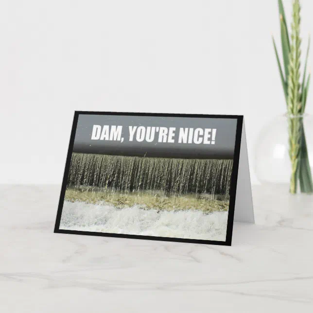 Dam, You're Nice! Thank You Card | Zazzle
