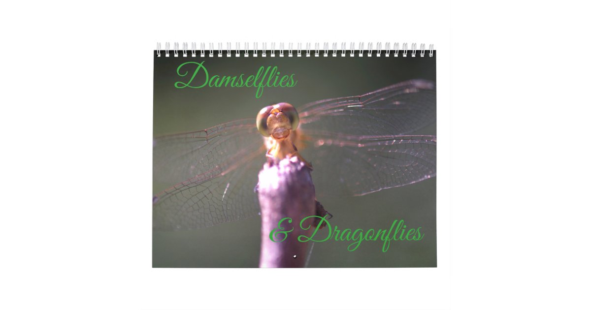 Damselflies and Dragonflies Calendar | Zazzle
