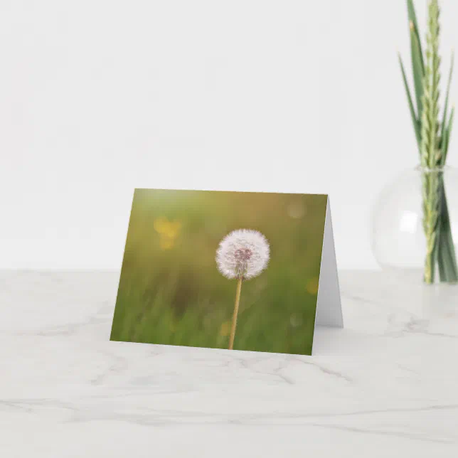 Dances with Dandelions Note Card | Zazzle