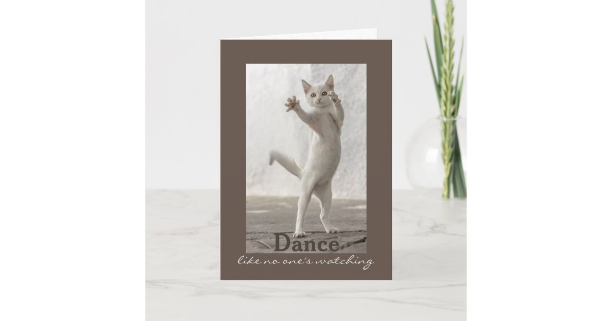 Dancing Cat Birthday Card | Zazzle