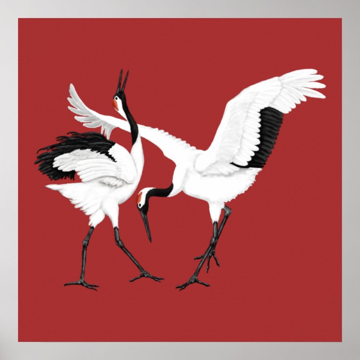 Dancing Cranes Poster | Zazzle