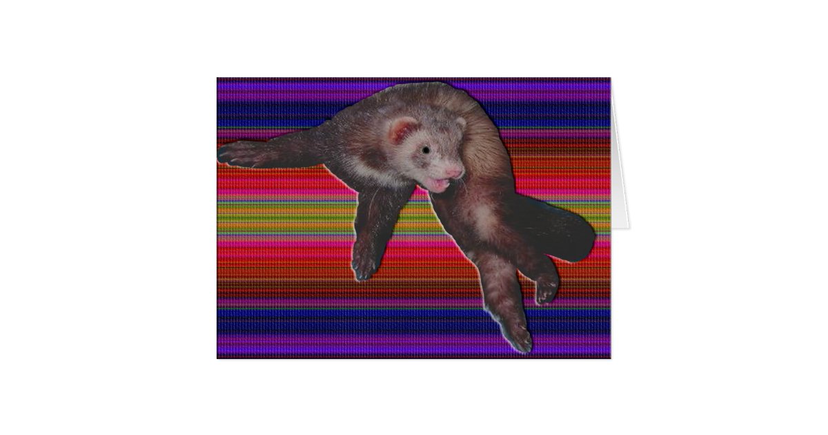 Dancing Ferret Card | Zazzle