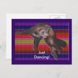 Dancing Ferret Postcard | Zazzle