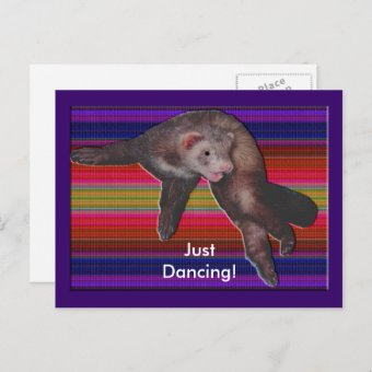 Dancing Ferret Postcard | Zazzle