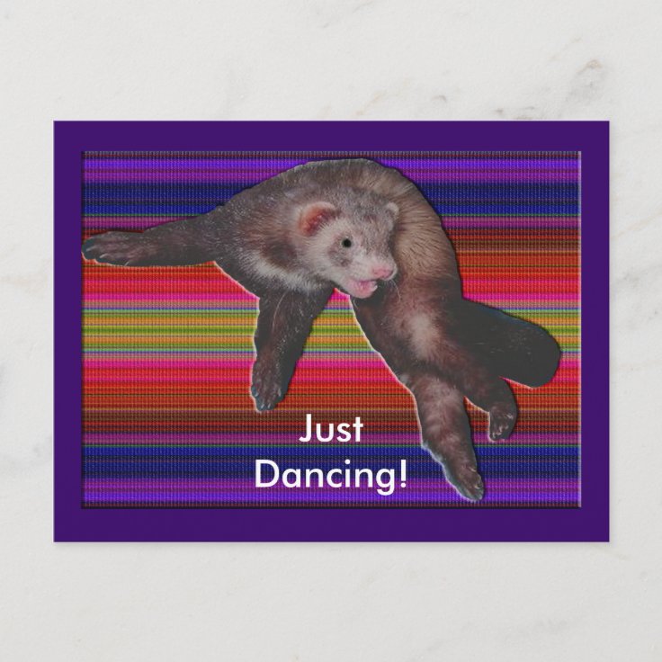 Dancing Ferret Postcard | Zazzle