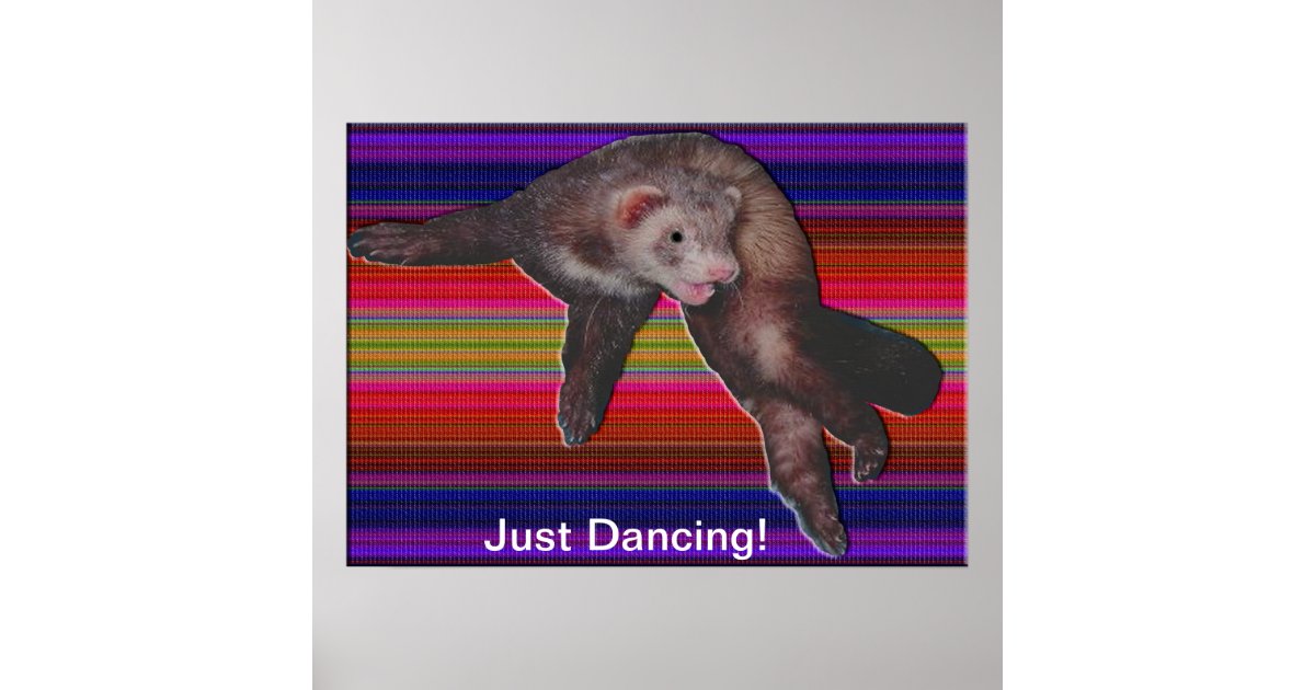 Dancing Ferret Poster | Zazzle