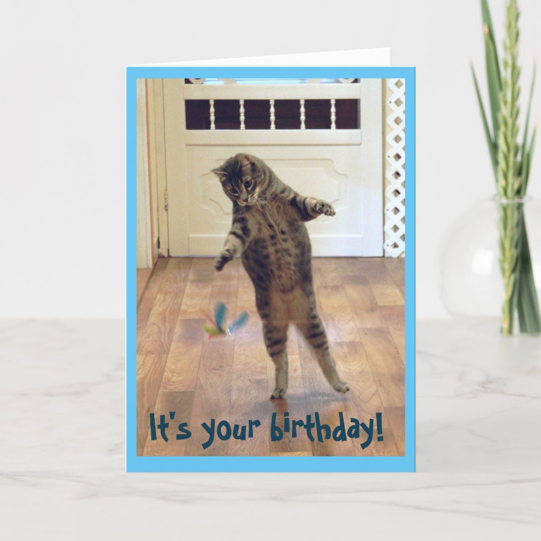 Dancing Tabby Cat Birthday Card | Zazzle