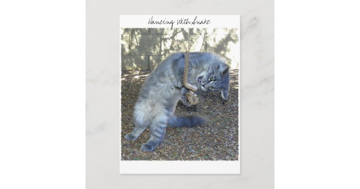 Dancing With Snake Postcard | Zazzle