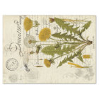 Dandelion Script Decoupage Tissue Sheets Tissue Paper | Zazzle.com