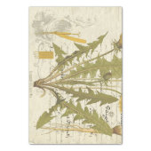 Dandelion Script Decoupage Tissue Sheets Tissue Paper | Zazzle