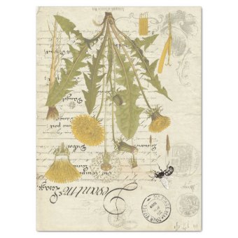 Dandelion Script Decoupage Tissue Sheets Tissue Paper | Zazzle