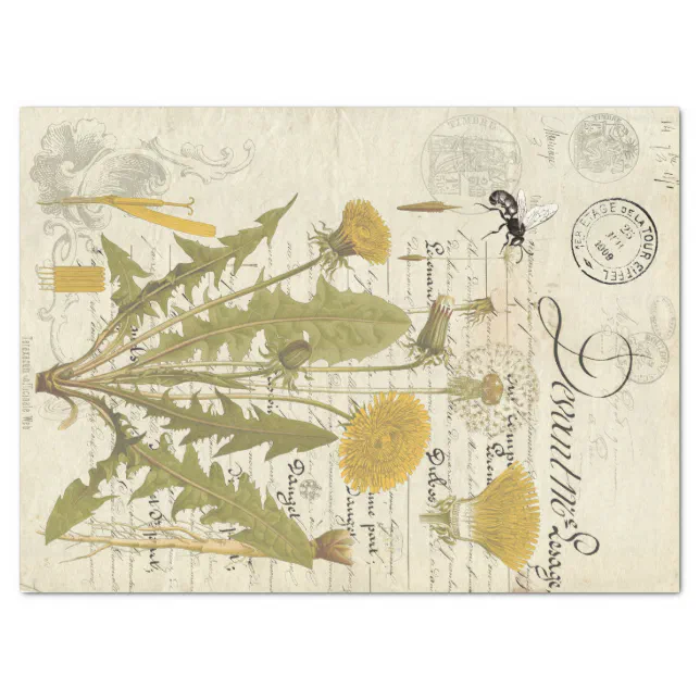 Dandelion Script Decoupage Tissue Sheets Tissue Paper | Zazzle