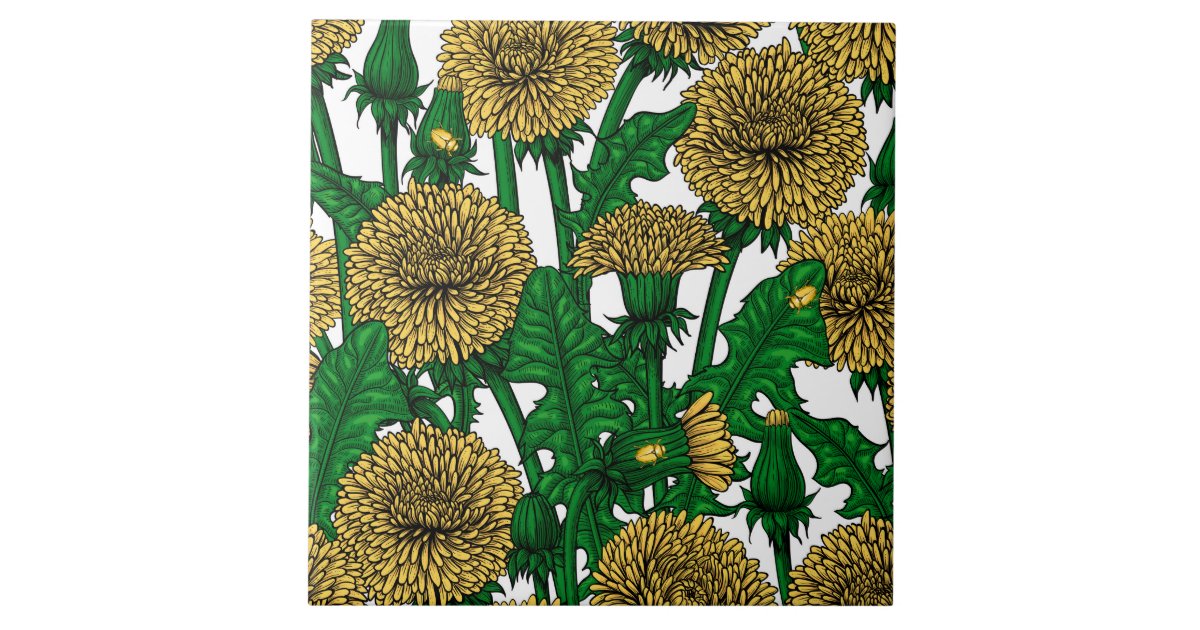Dandelions on white ceramic tile | Zazzle