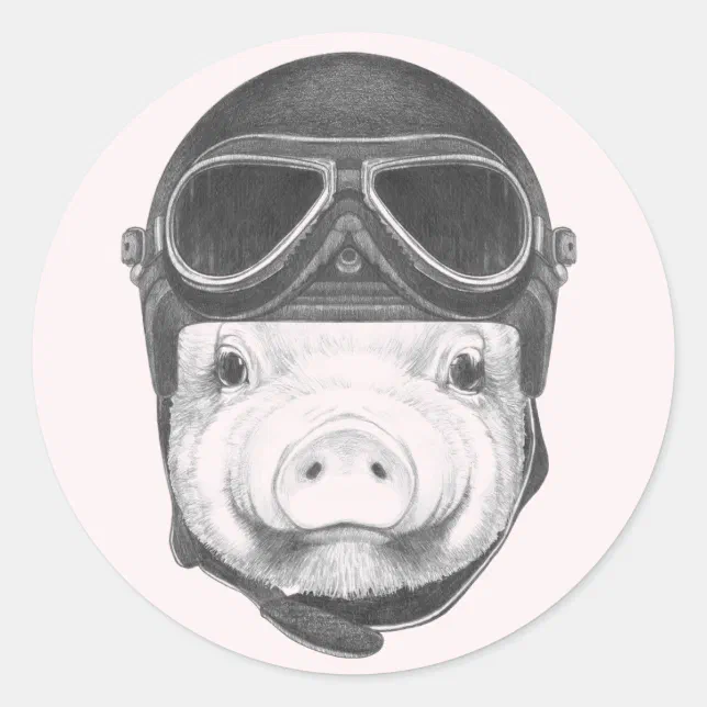 Daredevil Pig Classic Round Sticker | Zazzle