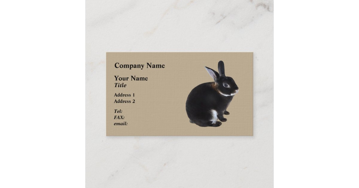 Dark Brown and White Mini Rex Rabbit Business Card | Zazzle