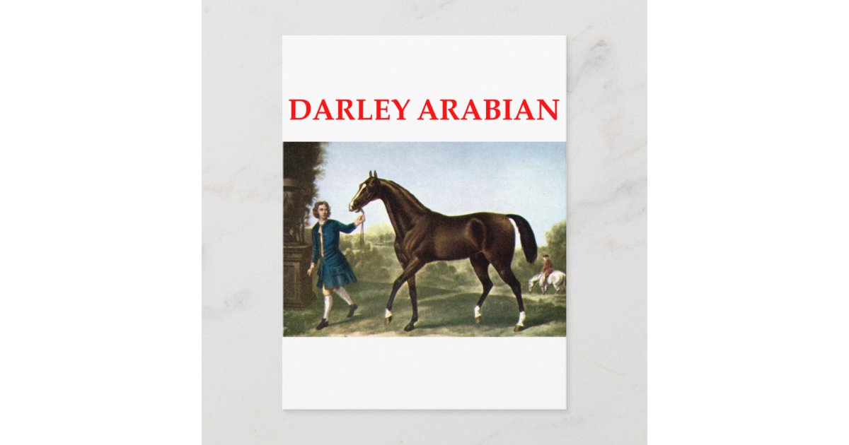 darley arabian postcard | Zazzle