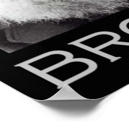 Darwin and Chimp Brothers Poster | Zazzle