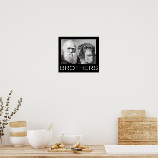 Darwin and Chimp Brothers Poster | Zazzle