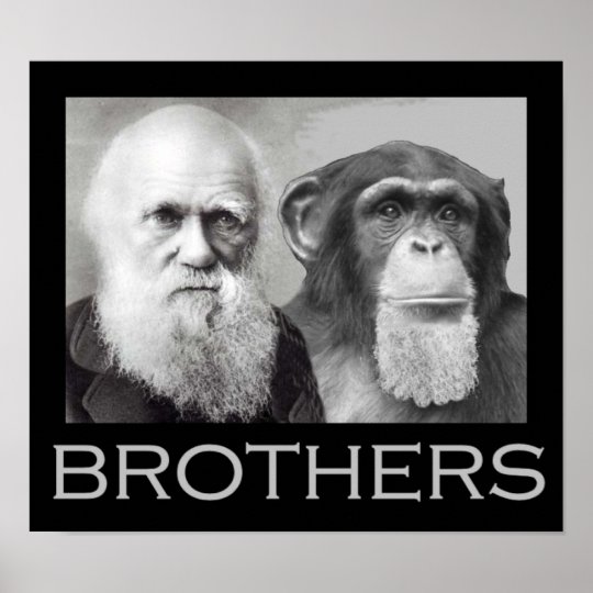 Darwin and Chimp Brothers Poster | Zazzle.com