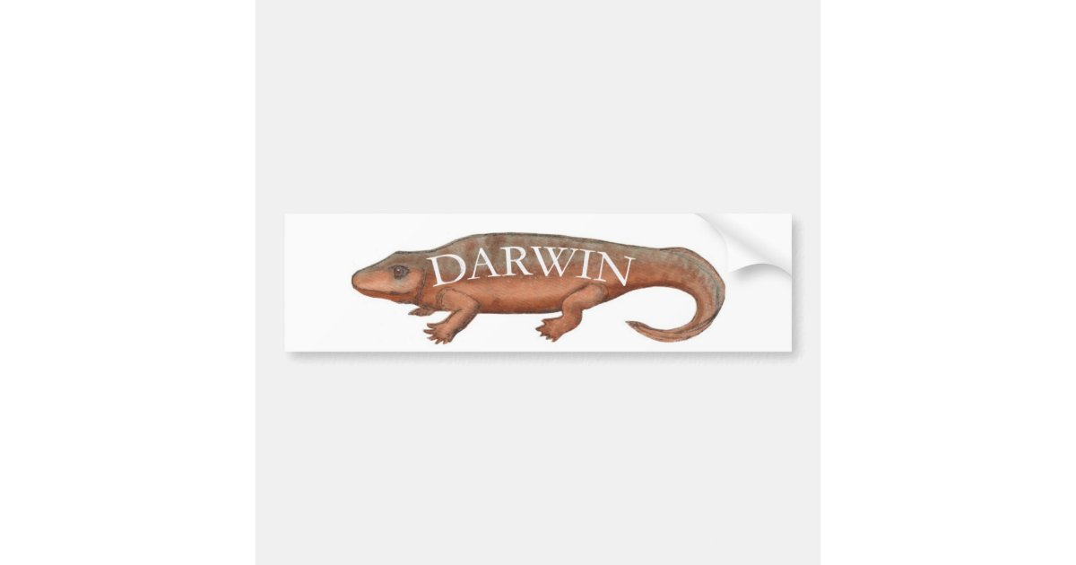 Darwin Evolution Tetrapod Bumper Sticker | Zazzle
