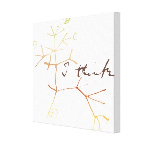 Darwin, I think tree of life Canvas Print | Zazzle