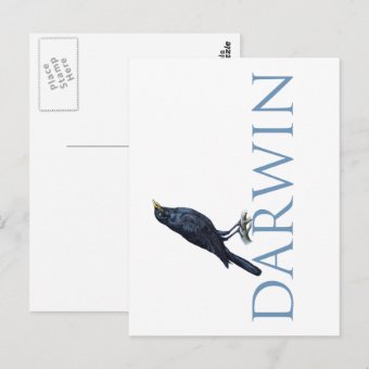 Darwin Postcard | Zazzle