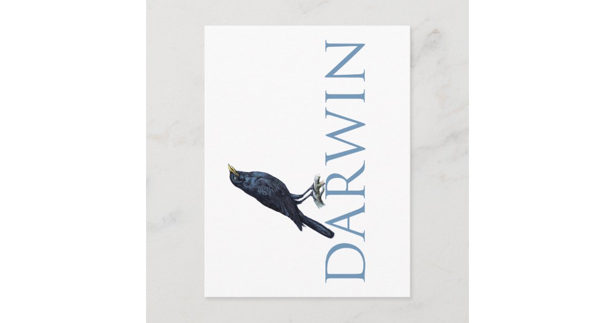Darwin Postcard | Zazzle