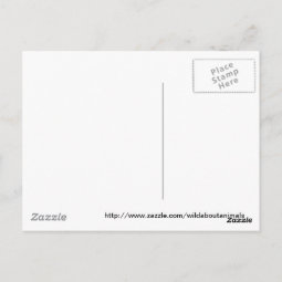 Darwin Postcard | Zazzle