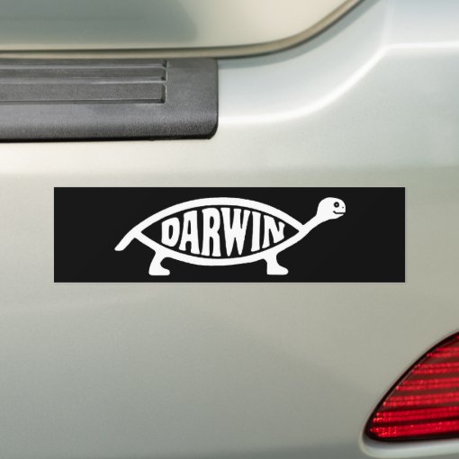 Darwin Turtle/Tortoise Bumper Sticker | Zazzle