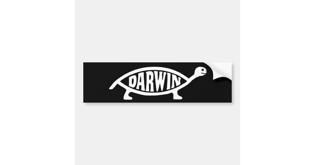 Darwin Turtle/Tortoise Bumper Sticker | Zazzle