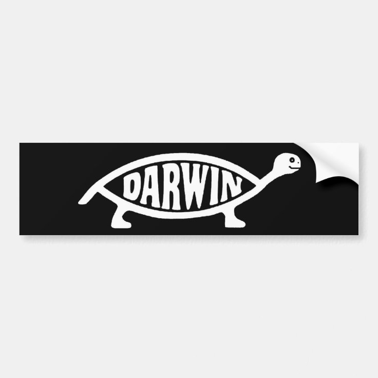 Darwin Turtle/Tortoise Bumper Sticker | Zazzle