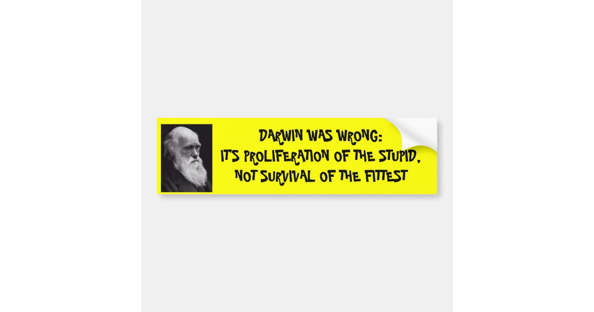 Darwin was wrong bumper sticker | Zazzle