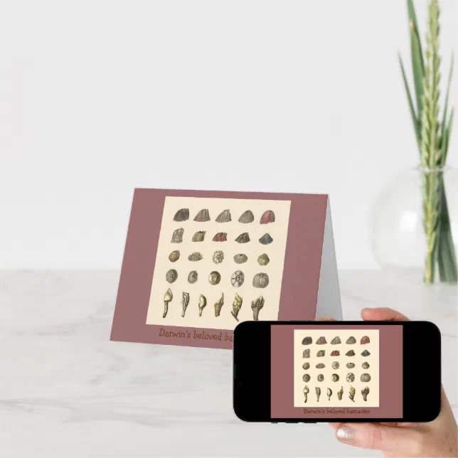 Darwin's beloved barnacles card | Zazzle