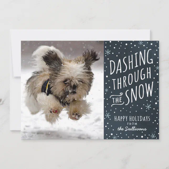 Dashing Through the Snow Holiday Pet Card | Zazzle