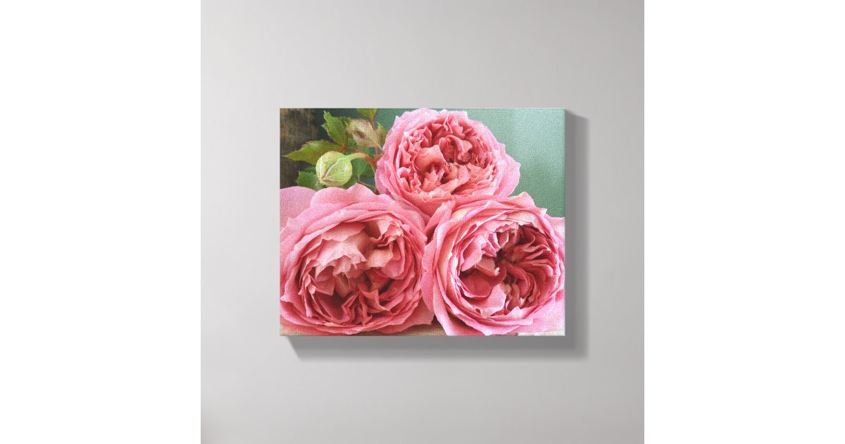 David Austin Heritage English Roses Print | Zazzle