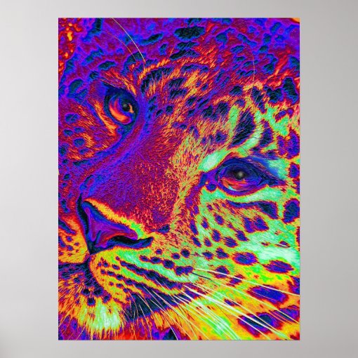 dayglow leopard poster | Zazzle