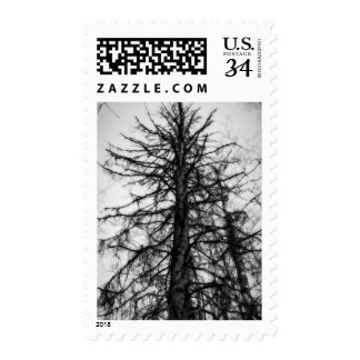 Black Death Postage Stamps | Zazzle