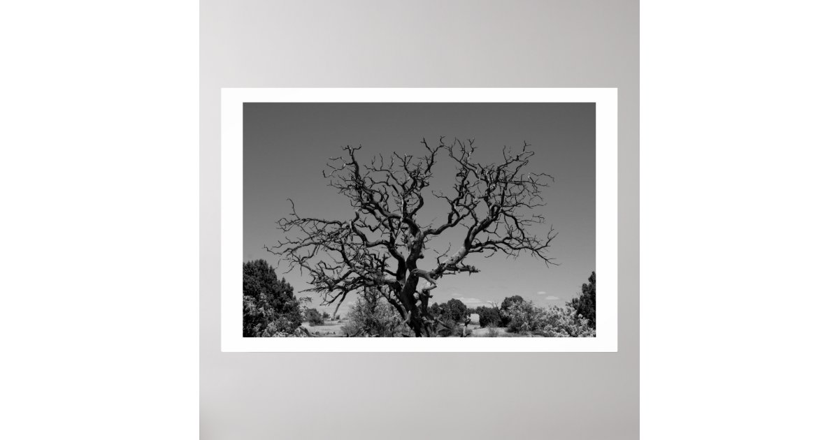 Dead Tree Poster | Zazzle